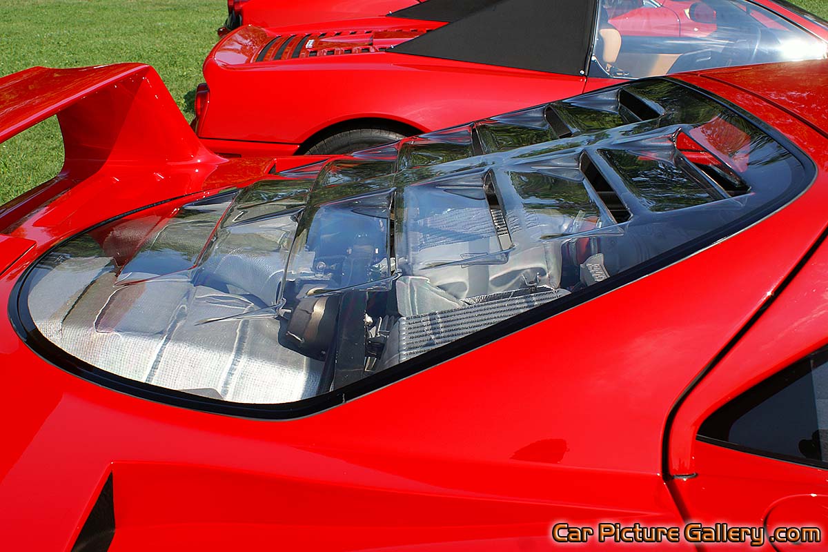 1991 Ferrari F40 Rear Window High Resolution Photo